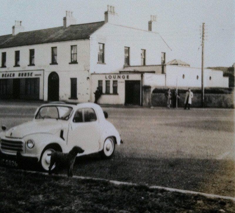 The Greystones Guide | Steely Dann Rides Again