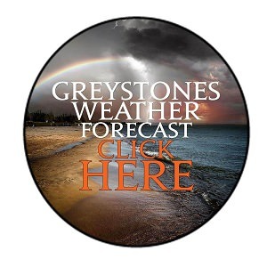 The Greystones Guide | Your Greystones Week
