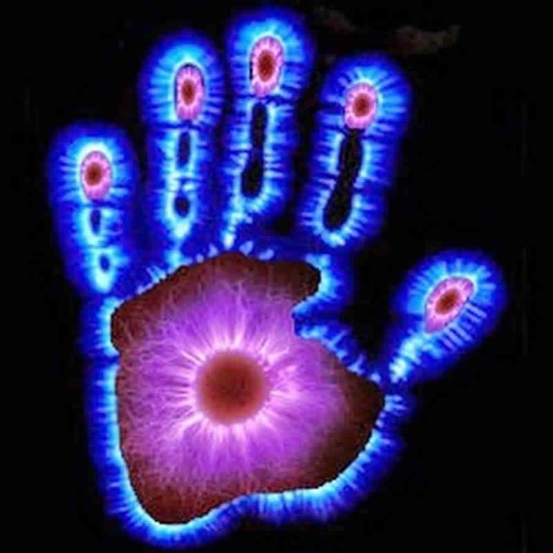 The Greystones Guide | Anyone 4 Science Easter Camp