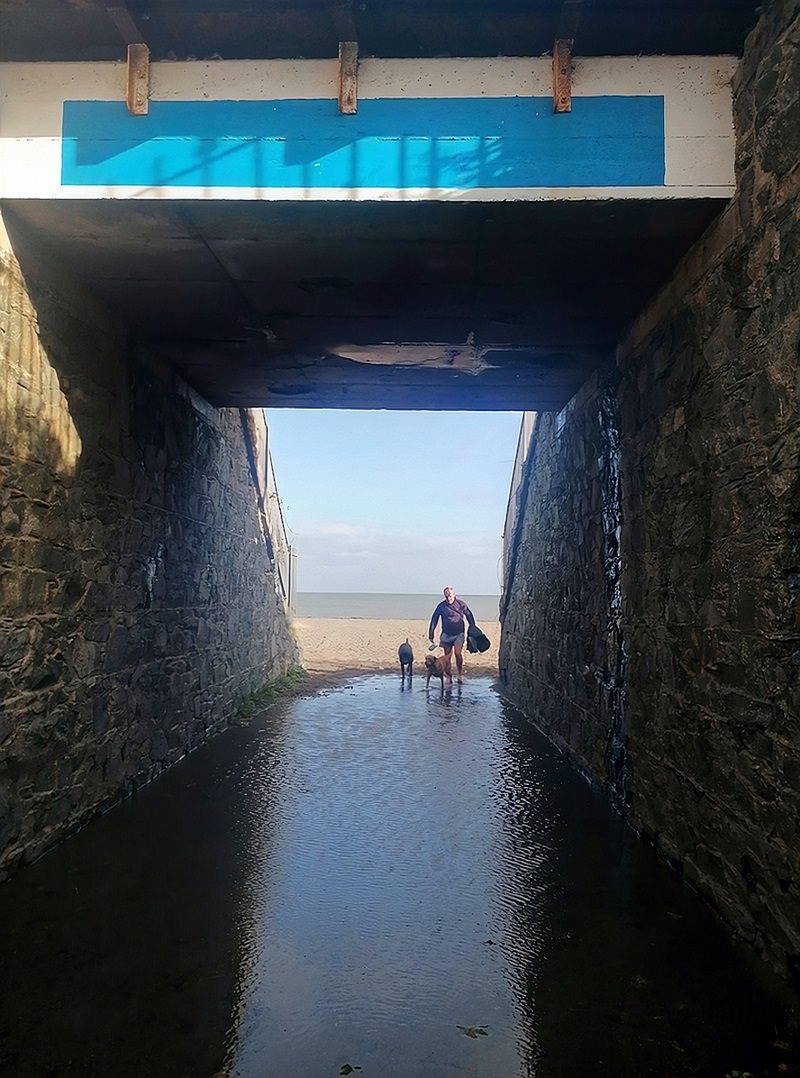 The Greystones Guide | Crappy Weekend Weather Cancelled