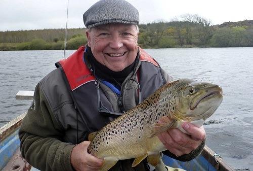 The Greystones Guide | Trout Almighty