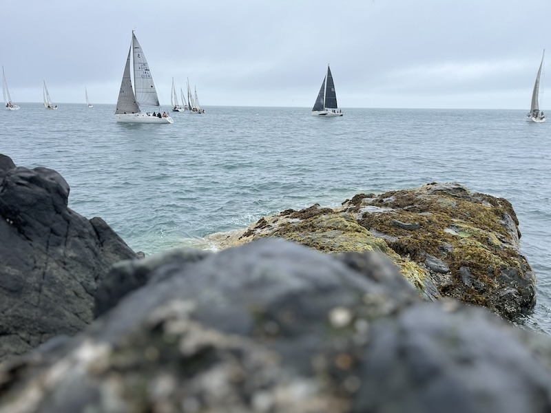 The Greystones Guide | Feck. This. Weather.