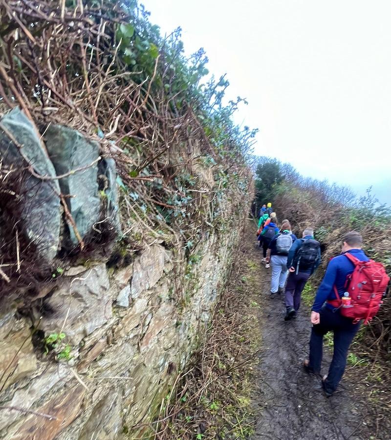 The Greystones Guide | WCC Just Passing The Muck?