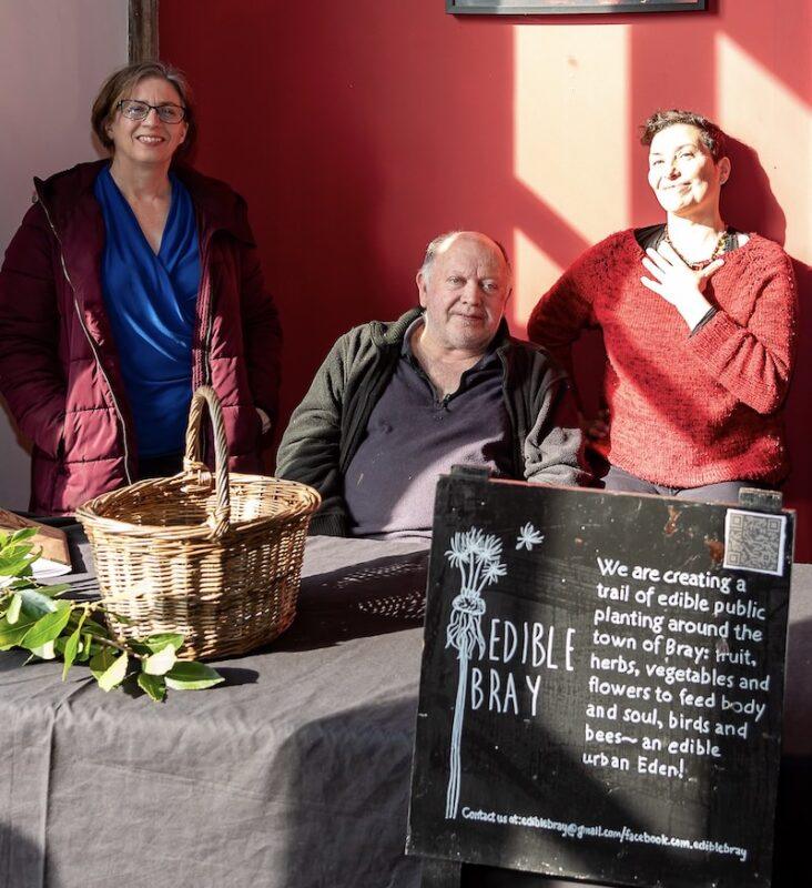 The Greystones Guide | Tree Cheers For Belmont Demesne