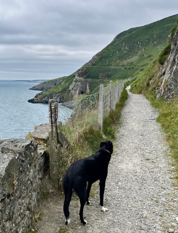 The Greystones Guide | Final Cliff Walk Resurrection Report Published