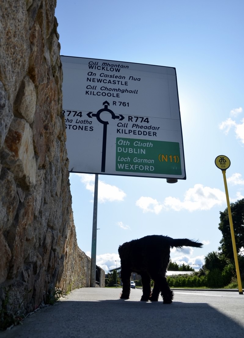 The Greystones Guide | Night Works At Knockroe Roundabout