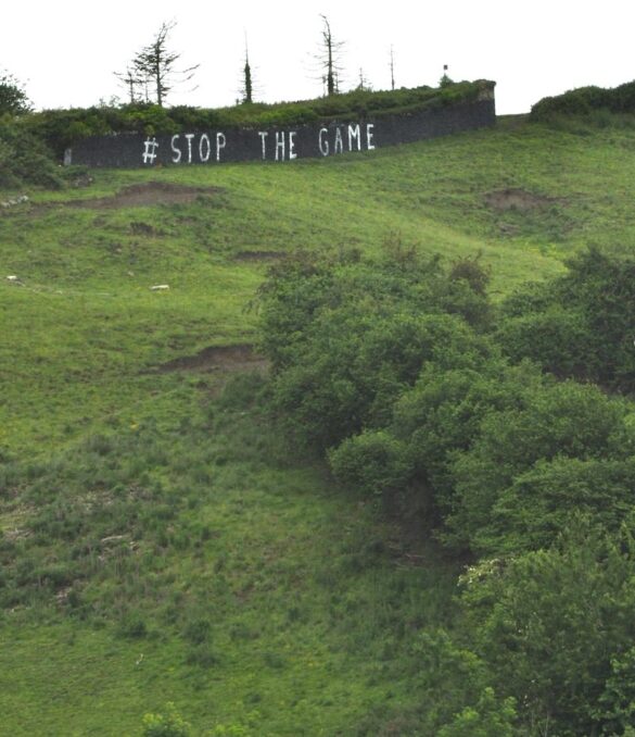 The Greystones Guide | Calling On TDs To Stop The Game