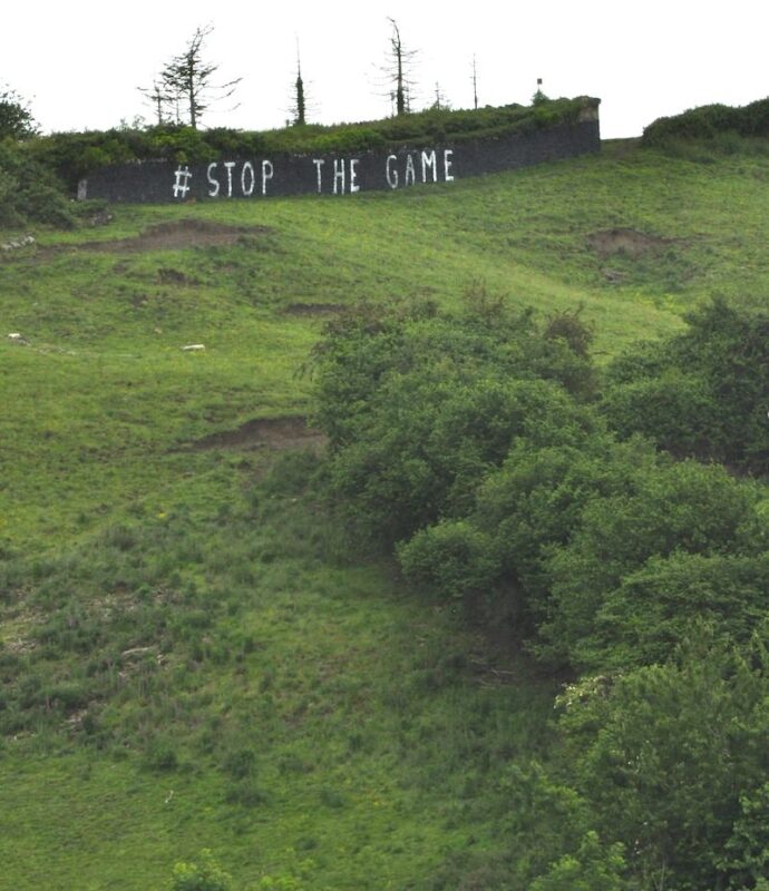 The Greystones Guide | Calling On TDs To Stop The Game